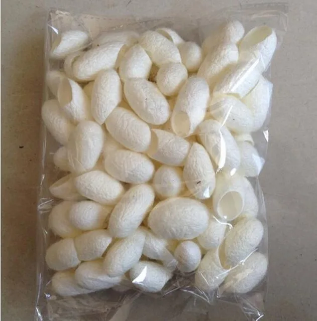 Silk Baby Cocoon - Pure, White, and Large Silkworm Cocoon