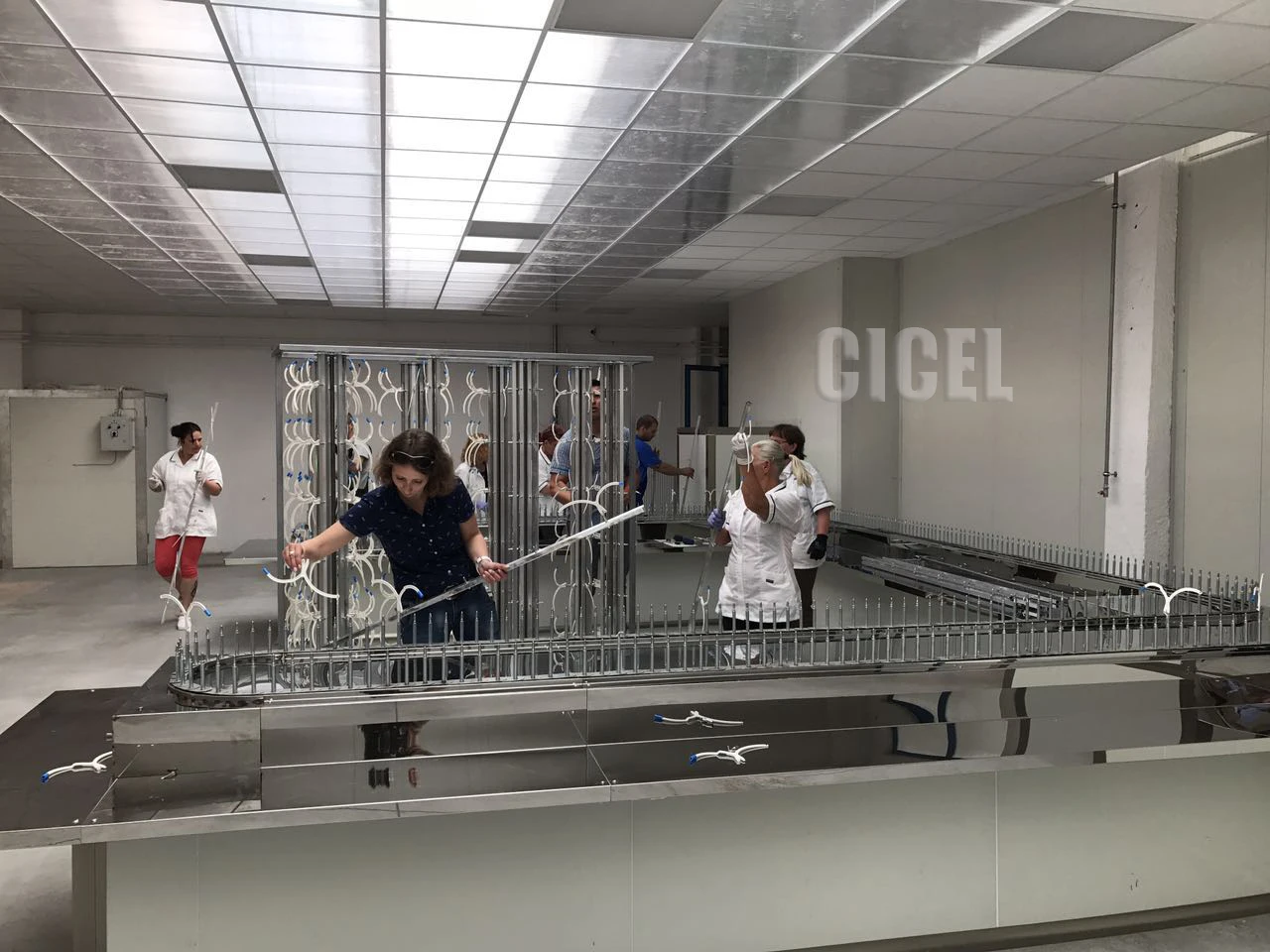 Automatic UV Spraying Curing Line - Efficient & Versatile