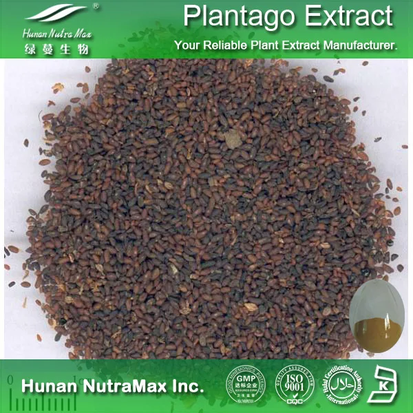 Plantago Major Seed Extract,Plantago Major Extract,Plantago Major Seed ...