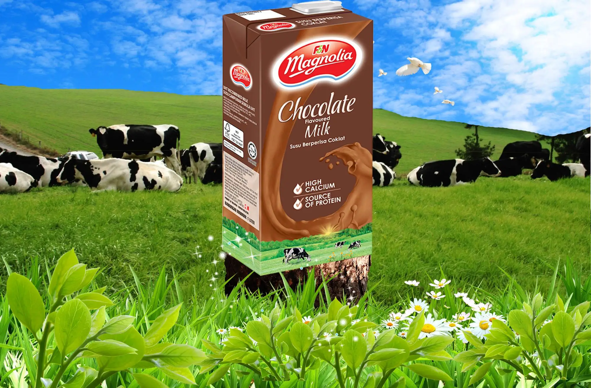 F&n Magnolia Malaysia Uht Creamy Chocolate Flavoured Milk Pack - Buy ...