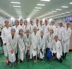 Salicylic Acid And Phenol Plasters Corn Removal Plaster - Buy Salicylic ...