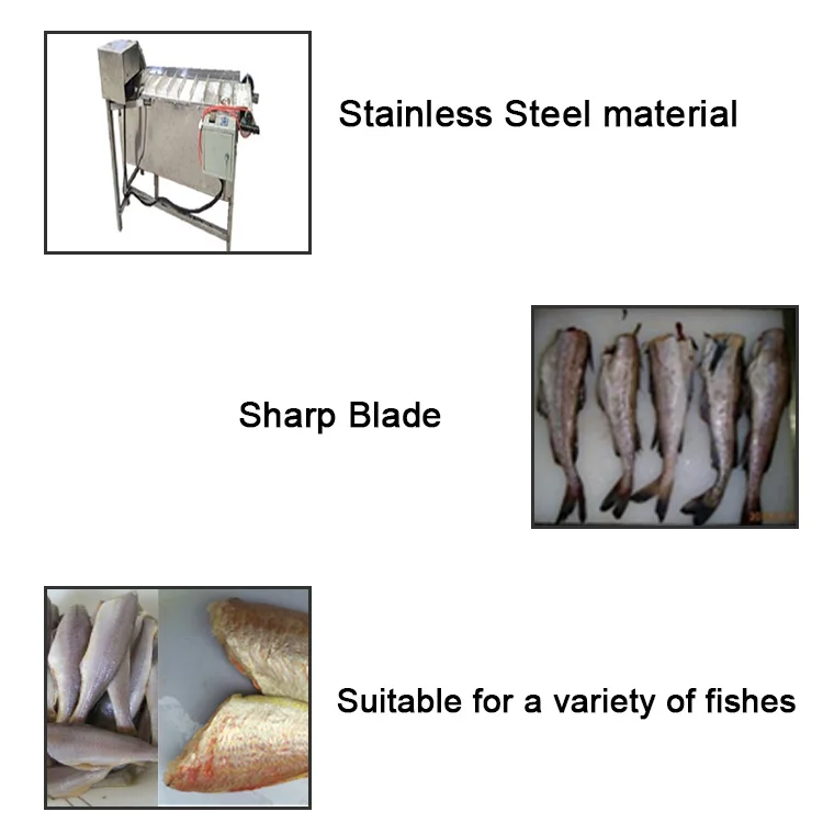 Small tuna dry fresh frozen fish meat tail head cutting machine price ...