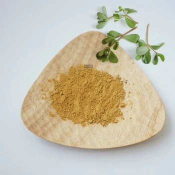 Professional Manufacturer Supplier Natural Portulaca Oleracea Extract ...
