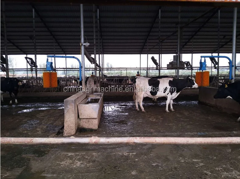 Poultry Equipment Cow Brush Scratching Machine For Cow Cattle - Buy Cow ...