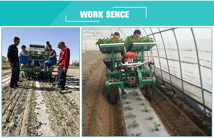 Vegetable Seedling Transplanting Machine Seeding Transplanter Vegetable ...
