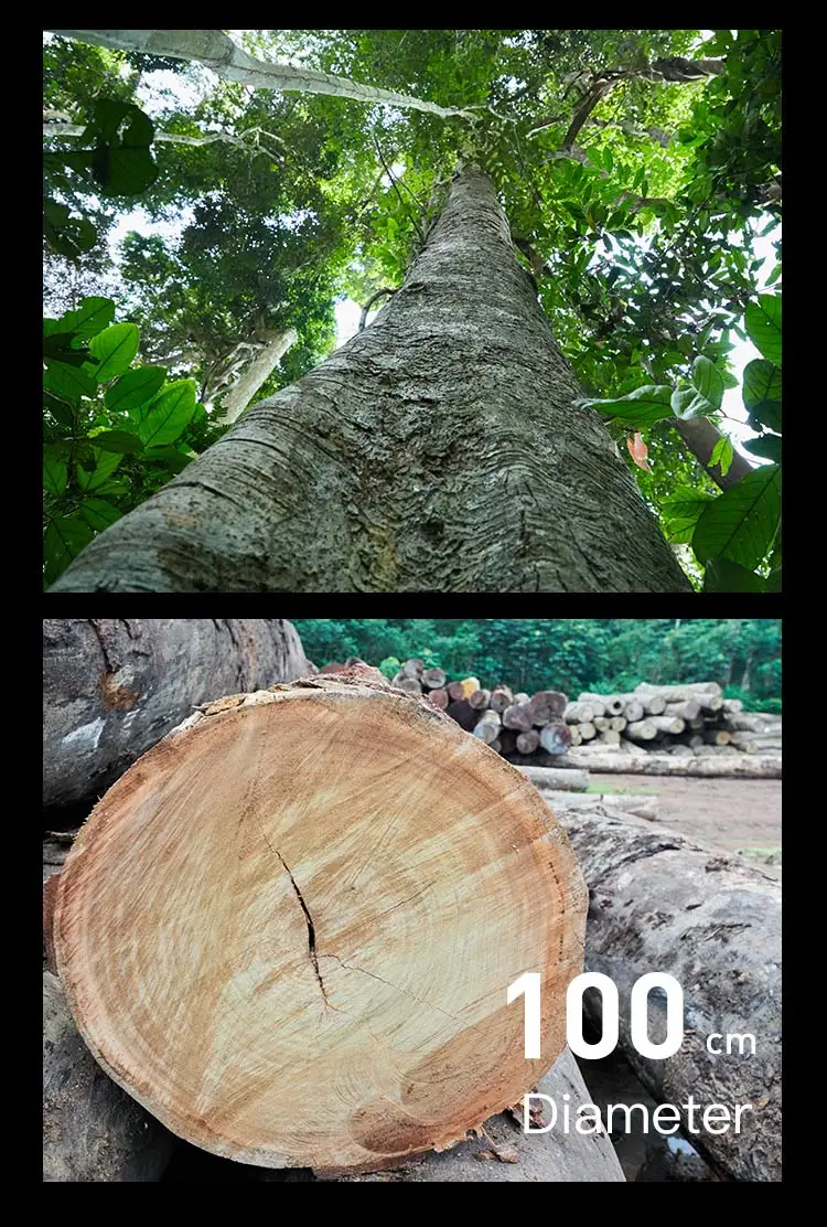 Tali Timber/lumber/ad Board/kd Board/square/slabs For Heavy ...