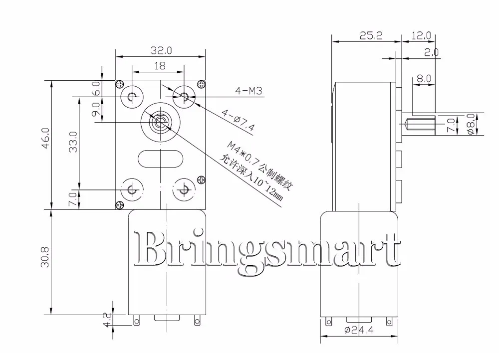 Bringsmart Jgy370-3000 Dc Worm Gear Dc Motor 6v 12v 2rpm Self-locking ...