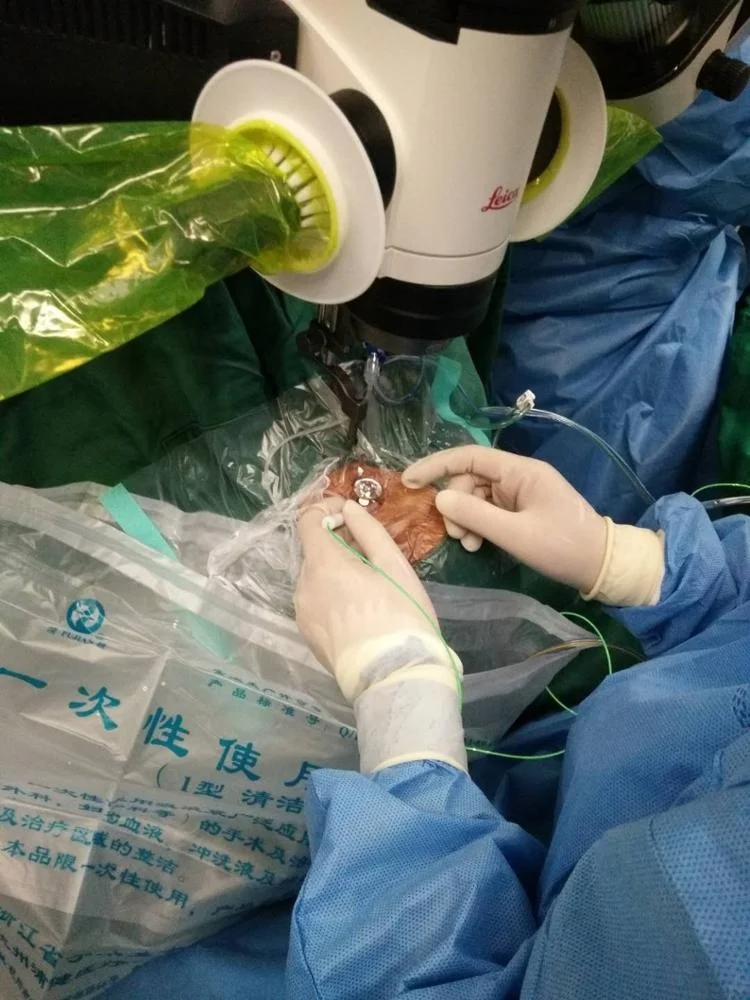 Veterinary Used Biom System For Posterior Surgery - Buy Biom System ...