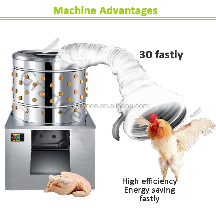 Efficient Chicken Plucker - Defeather 7-8 Chickens at Once