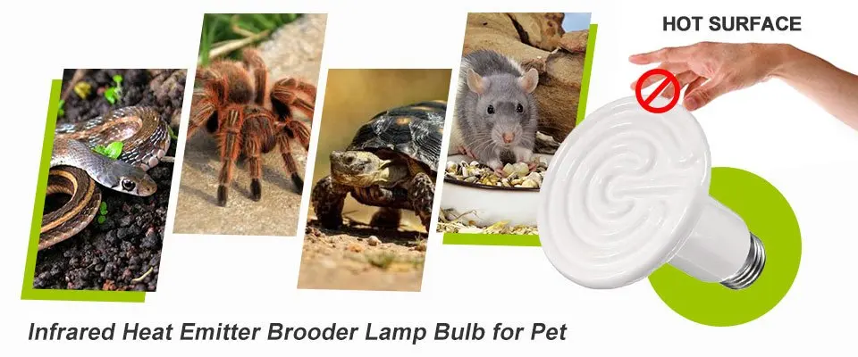 Ceramic Infrared Brooder Lamps - Efficient Pet Heaters