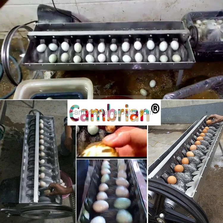 Commercial Egg Washing Machine For Hot Sale - Buy Commercial Egg ...