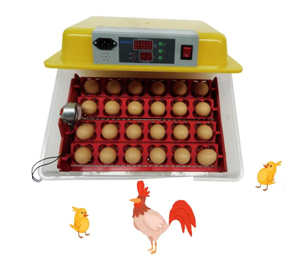 Professional And Cute 100 Chicken Egg Incubator - Buy Automatic Egg ...