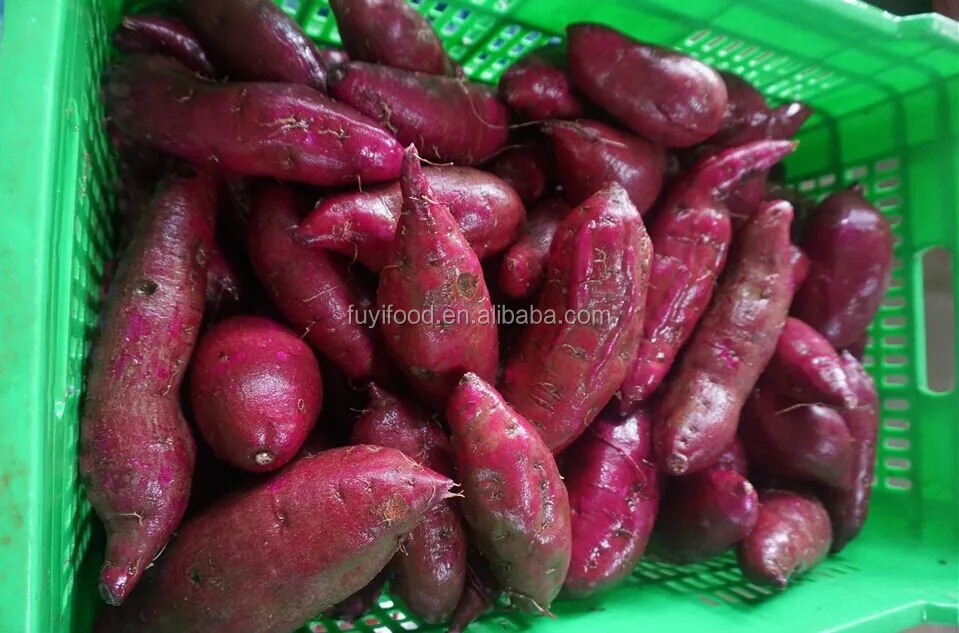Chinese Sweet Potatoes - Healthy and Delicious Options
