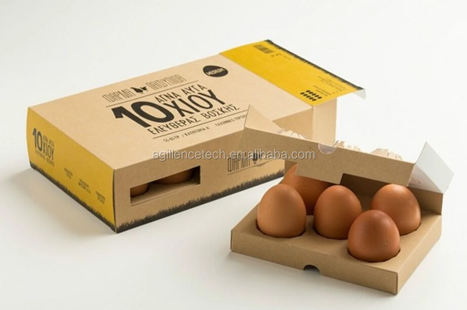 Creative Kraft Paper 2/6/10 Pack Recycling Egg Boxes/carton/eco ...