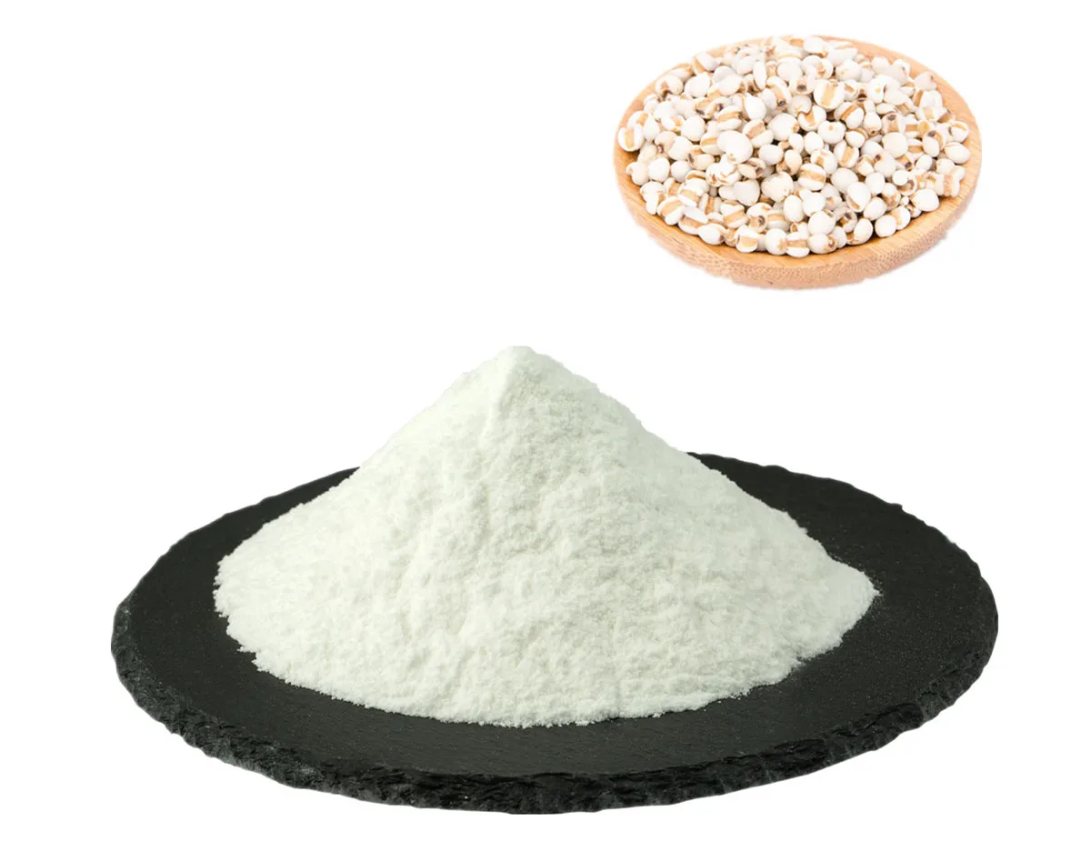 Natural Coix Seed Concentrated Drink Powder/semen Coicis Powder - Buy ...