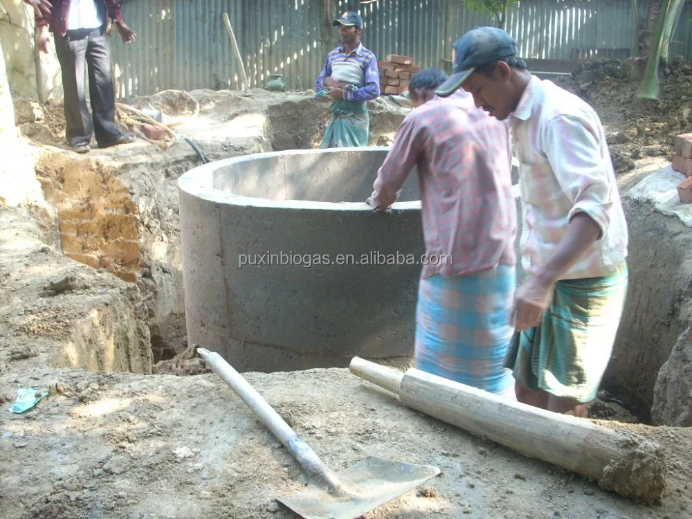 Home Biodigester Biogas Plant With Biogas Engine For Generating - Buy ...