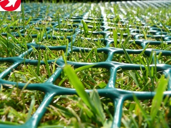 Filet Protection Pelouse - Durable Grass Protection Netting