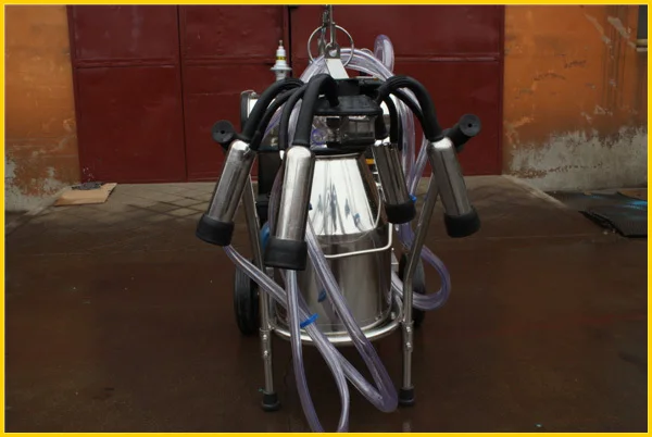 Vacuum Pump Type Milking Machine - Buy Milking Trolley For Sheep small Scale Milk Processing ...