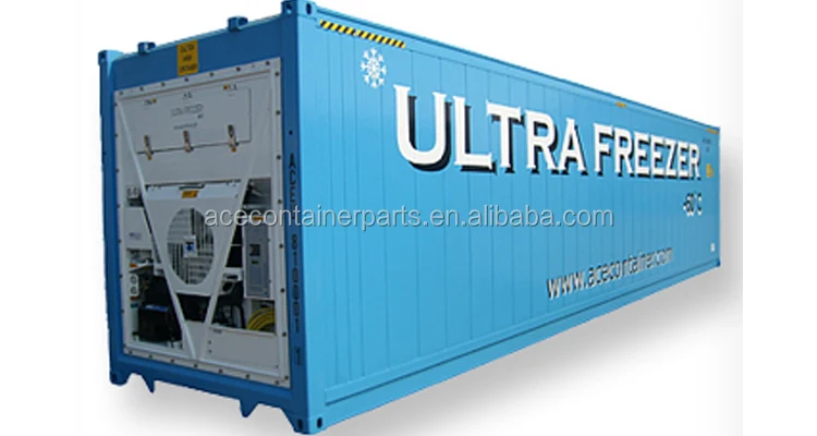 Minus 60 Centigrade Deep Freeze Thermo King Refrigerated Machine 40ft ...