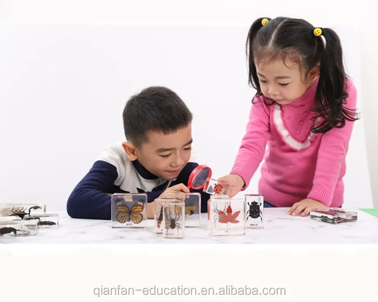 Sea Animal Crab Acrylic Specimen For Kids' Toy - Buy Crab Specimen ...