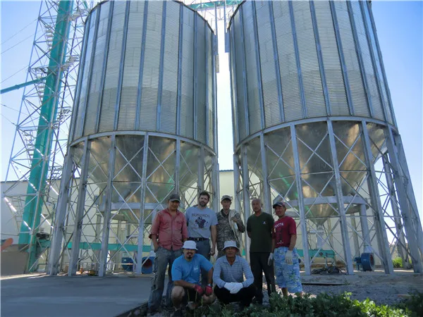 Silo Penyimpanan Nasi Paddy Tangki Silo - Buy Silo Penyimpanan Beras ...