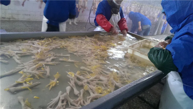 Chicken Feet Processing Machine - Buy High Quality High Quality Chicken ...