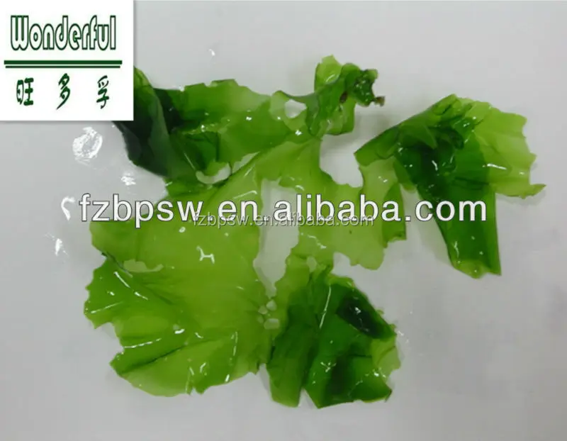 Organic Ulva Seaweed Powder Chicken Feed,Bulk Ulva Seaweed,Ulva Lactuca ...