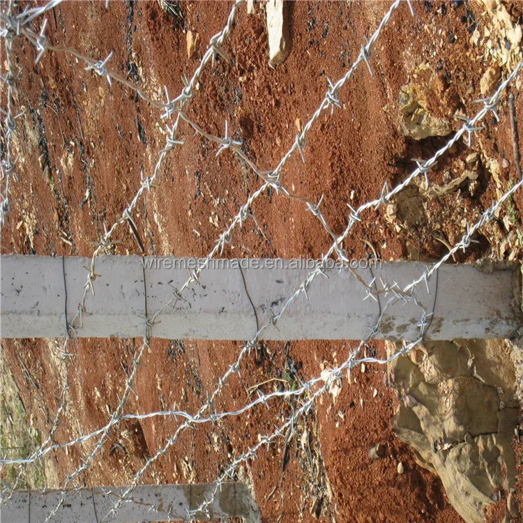 Zimbabwe Market Galvanized Double Barbed Wire - Buy Galvanized Barbed ...