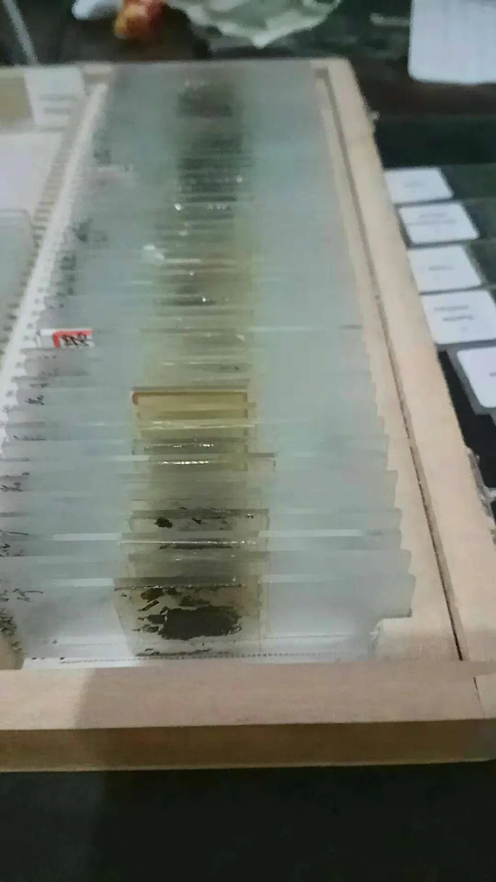 Hot Selling Fixed Set 100pcs Mineral Thin Section Slides Prepared ...