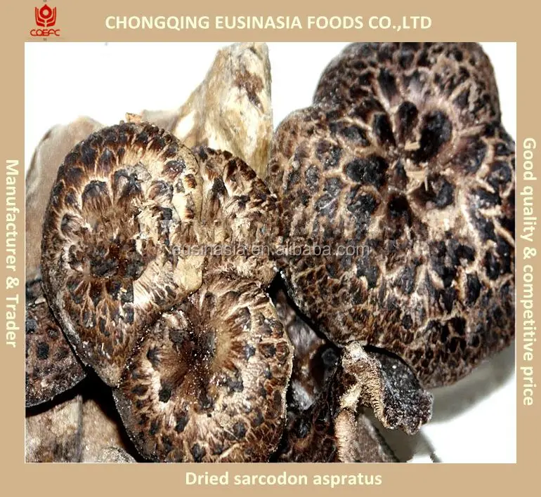 Dried Saarcodon Imbricatum Mushroom For Sale - Buy Saarcodon Imbricatum ...