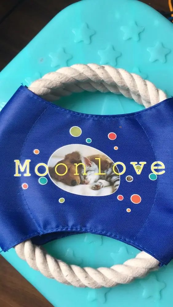 Oxford Cloth Dog Frisbee Toy Cotton Rope Flying Spinning - Buy Perfect ...