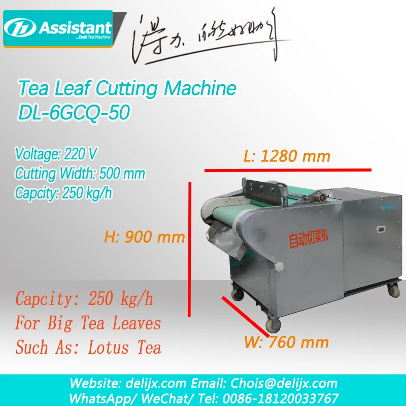 Fresh Green Tea Leaf Cutting Machine DL-6GCQ-50 | Efficient 250 kg/h ...