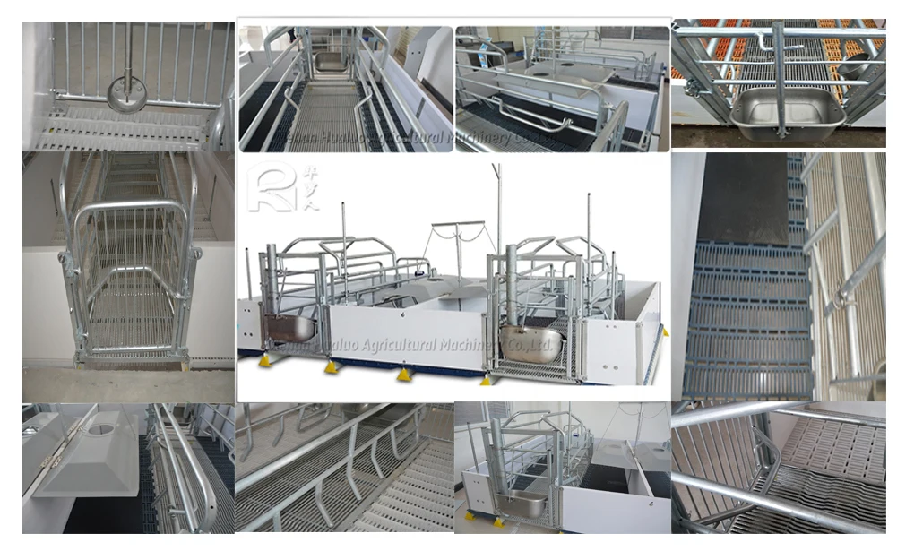 Piggery Equipment Philippines Pig Farming Cage Pig Farrowing Pen ...