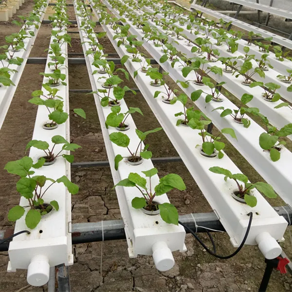 New Design Deep Water Culture Hydroponics Systems Manufactured In China ...