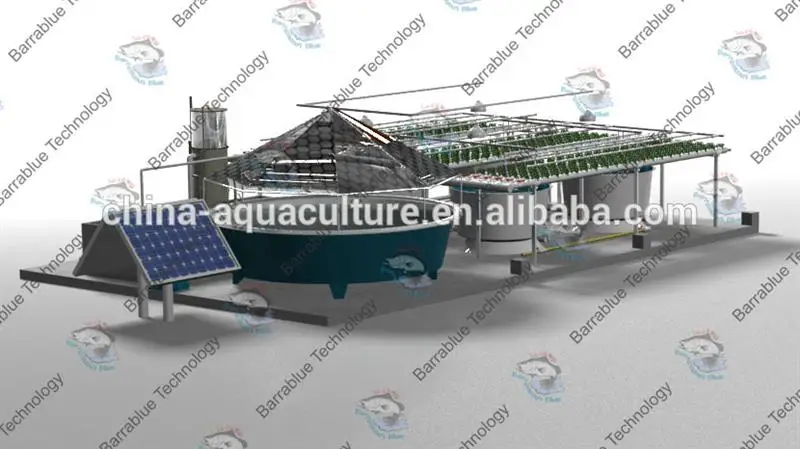 Fish Farming And Hydroponics Gardening System/ras/hydroponics System ...