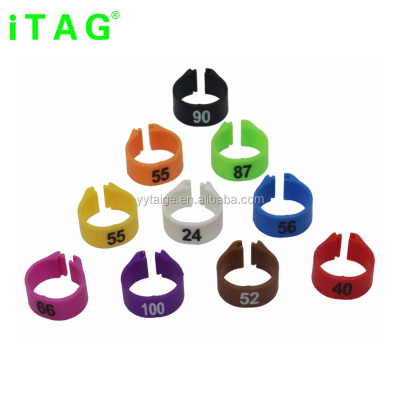 Cheap Pigeon Rings for Bird Tracking - Sustainable & Customizable