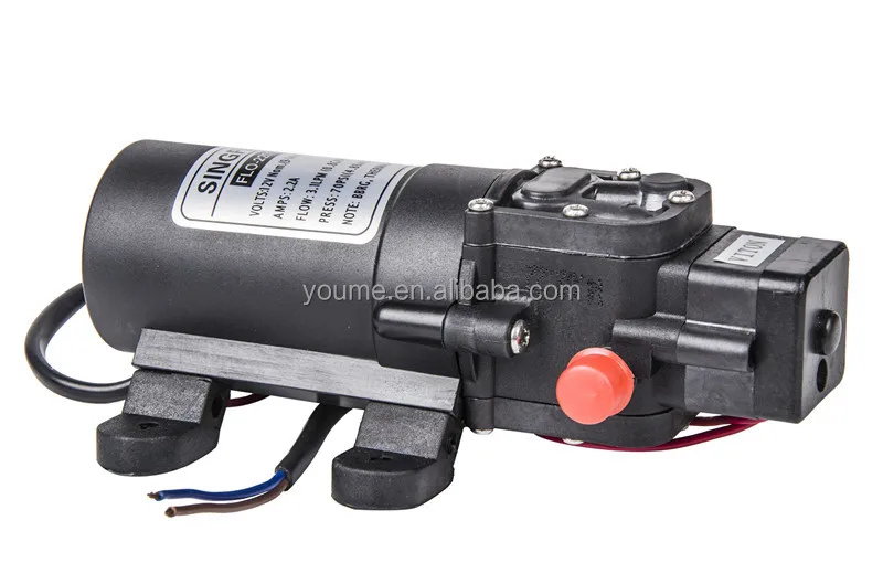 Singflo Landbouw Batterij Spuit Pomp/elektrische Water Pompen/waterpomp ...