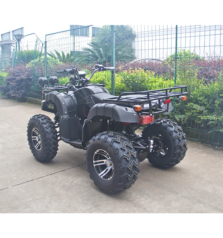 4wd Shaft Driving 2000w*2 Big Power Adults 4x4 Electric Atv - Buy ...