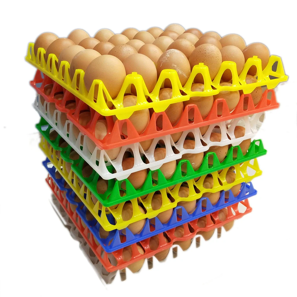 Best Selling Good Quality Paper Egg Tray Buy Egg Tray Paper Egg Tray best-selling-good-quality-paper-egg-tray-buy-egg-tray-paper-egg-tray