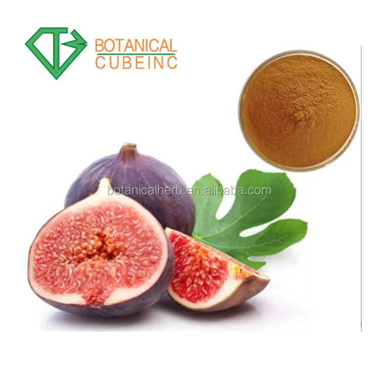 High Quality Natural Fig Extract/ Ficin/ficus Carica Extract - Buy ...
