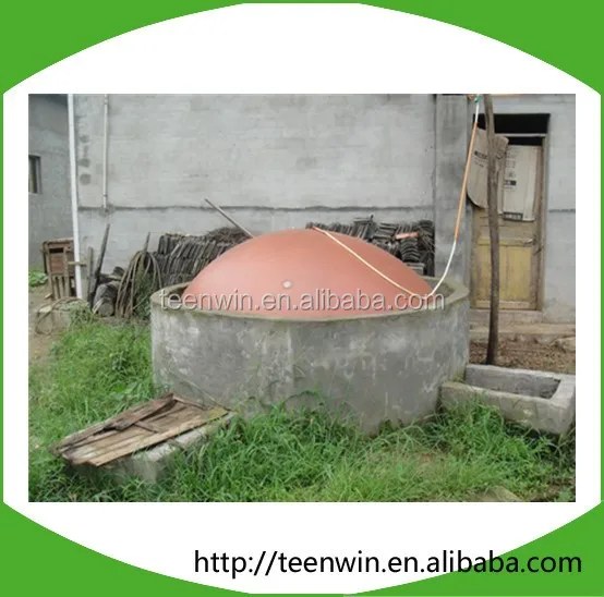 Diy Mini Food Waste Biogas Digester/plant For Home Use - Buy Diy Biogas ...