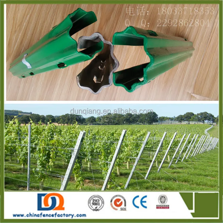 Grape Stakes Vineyard Orchard Post Galvanized Vineyard Pole - Buy ...