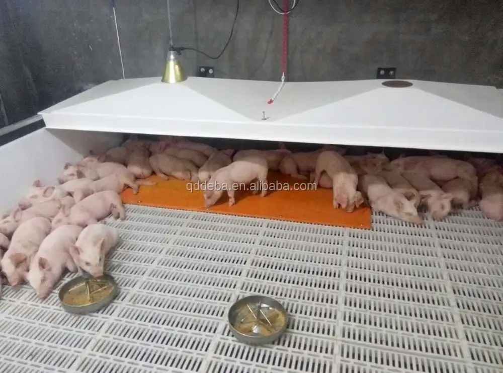 Pig Equipment Piglet Heating Pigsty Mat Used In Farrowing Crate - Buy ...