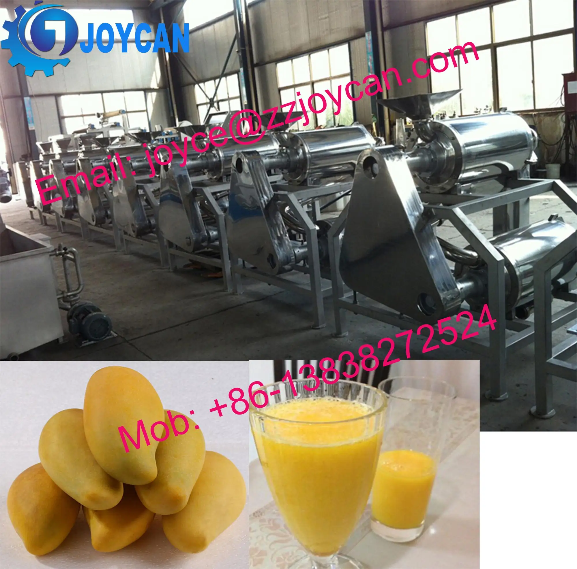Despulpadora De Mango - Efficient Fruit Pulping Machine