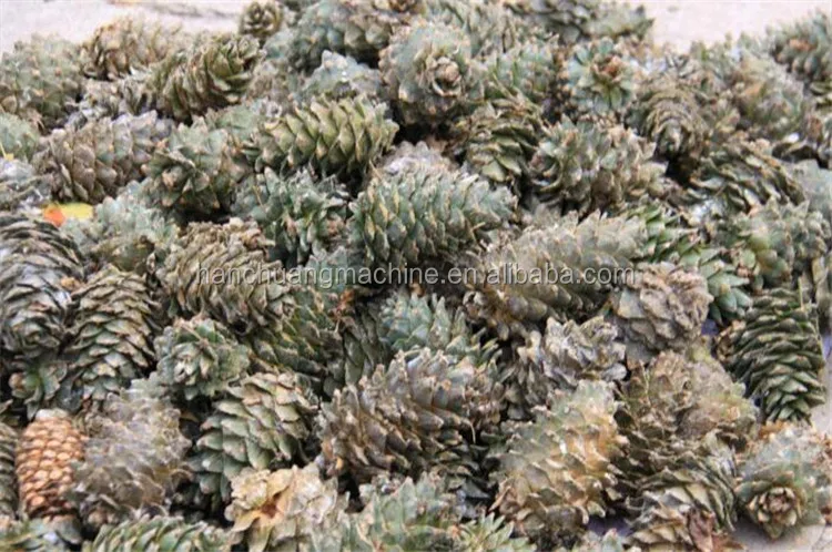 Pine Nut Threshing Machine - Efficient Processing Solutions