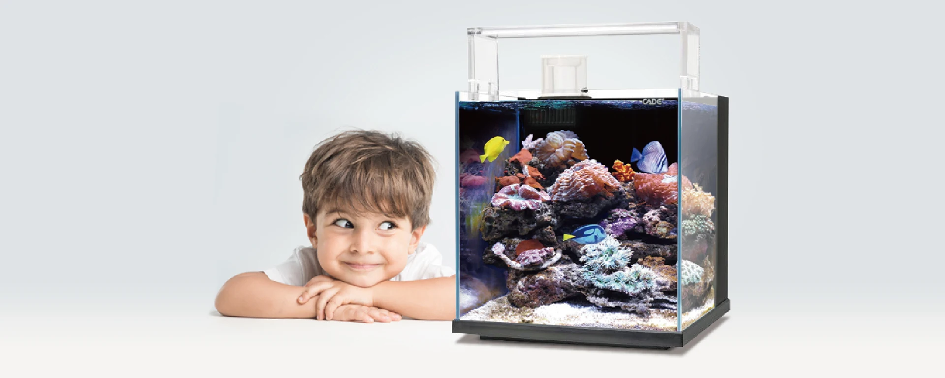 Small Cheap Red Sea Fish Tank - Buy Red Sea Fish Tank,Cheap Red Sea ...