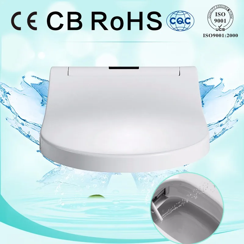 Front Wash Electronic Bidet Toilet Seat Water With Dual Wand - Buy ...