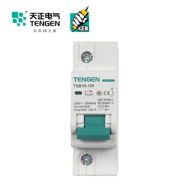 TENGEN Brand Miniature circuit breaker MCB Air switch TGB1N-125 2P C80 C63 C100 C125 air circuit ...