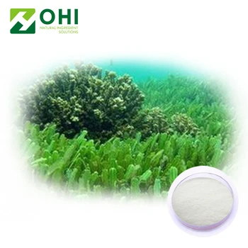Natural 0.1% Calcium Marine Algae Extract | Algae Extract Powder - Buy Algae Extract,Marine ...