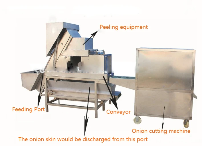 High Efficiency Onion Peeling Machine - Fully Automatic